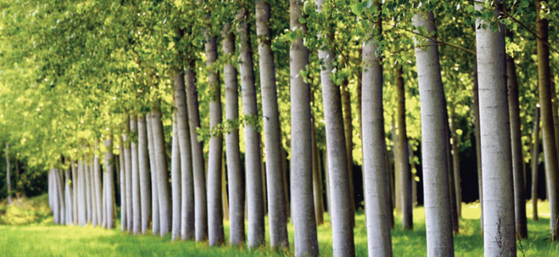 President Container Group | Corrugated Cardboard | Packaging | Point-of ...